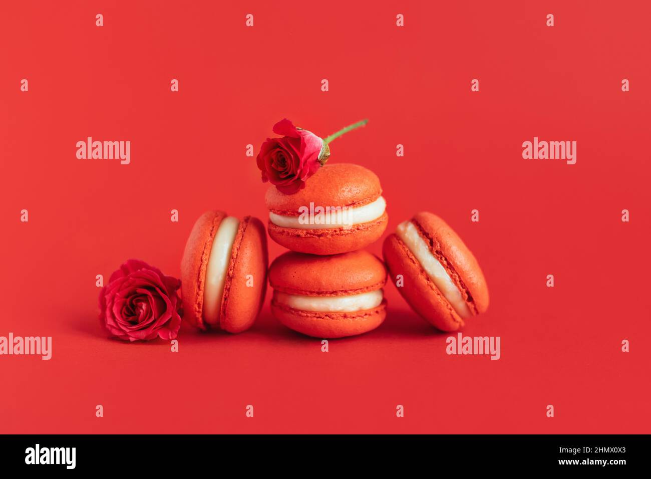 Red french macarons with rose flower on a red background. Place for ...