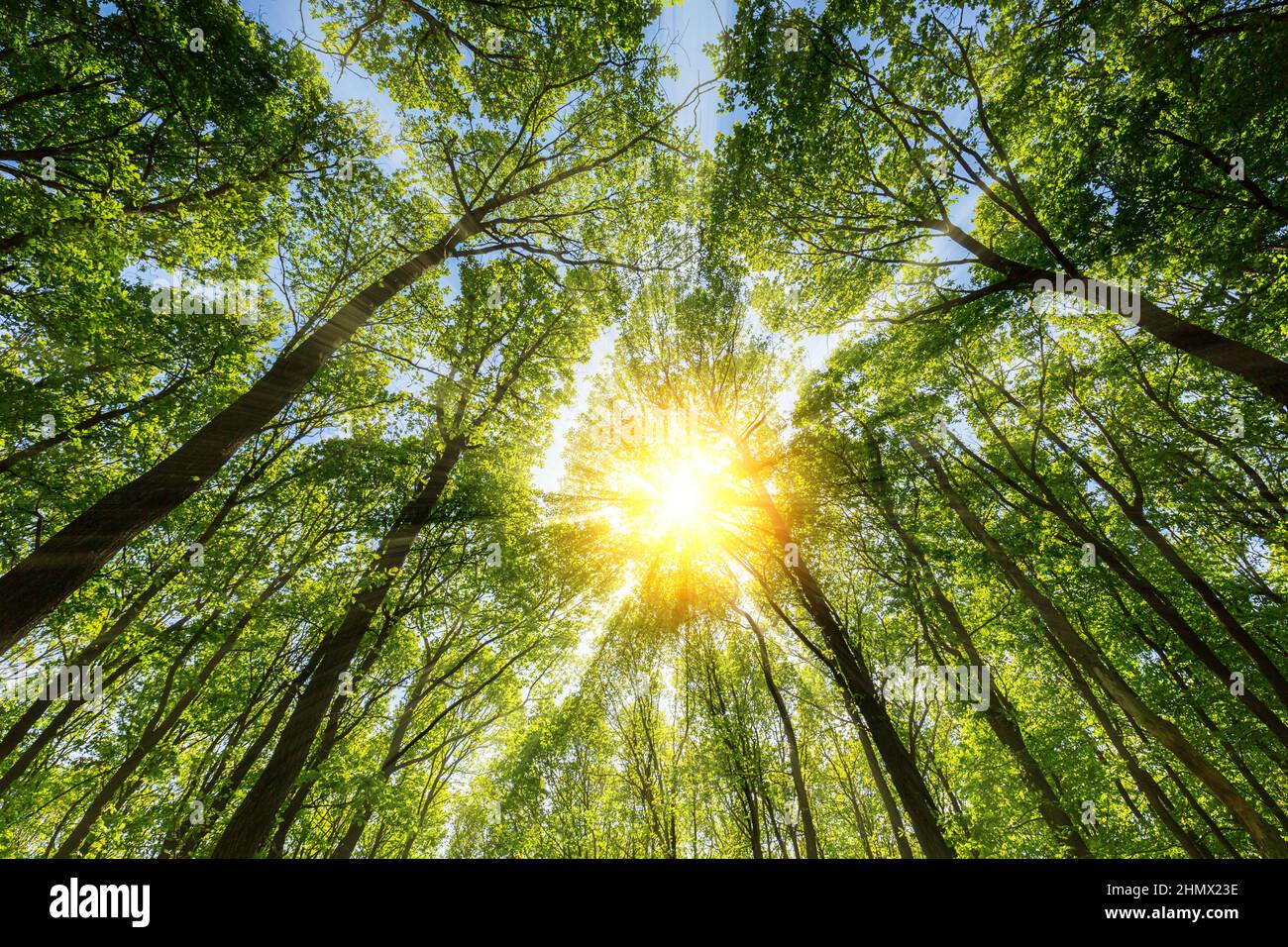 Explosive green light rays hi-res stock photography and images - Alamy