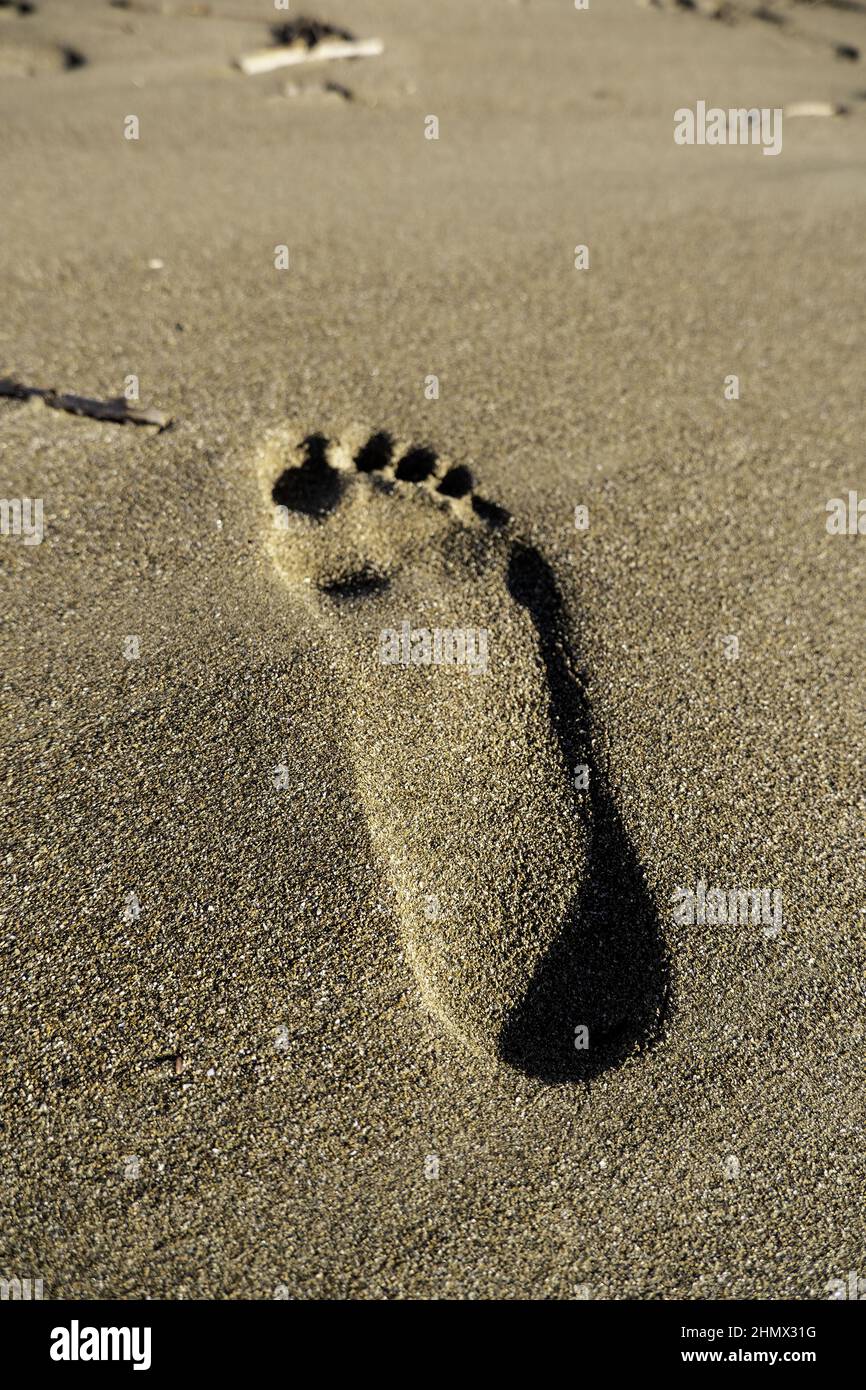 Detail of footprints on a beach in summer, walk on vacation Stock Photo ...