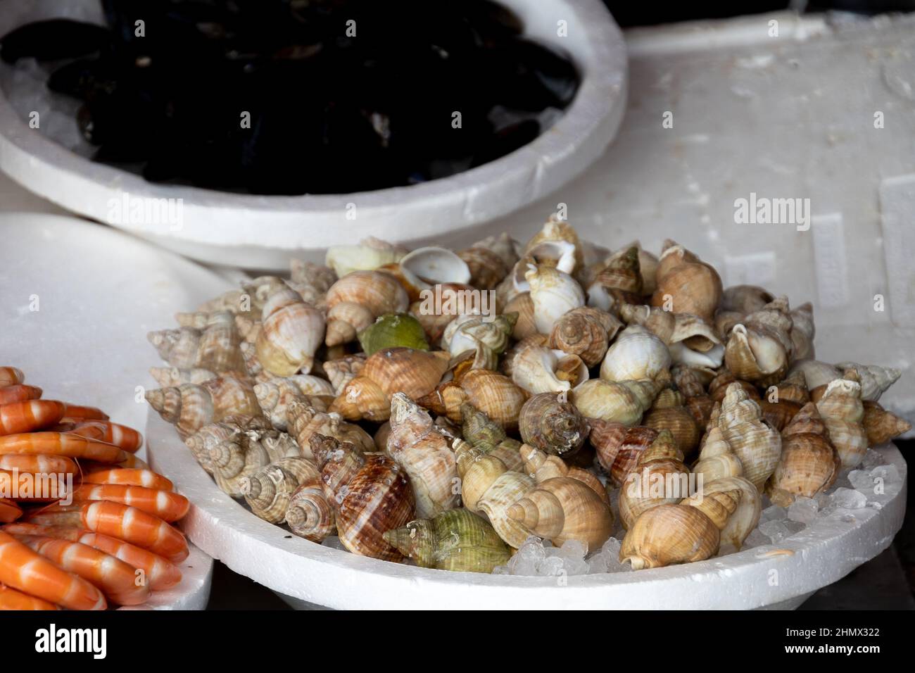 Plate of shrimp and whelks hi-res stock photography and images - Alamy