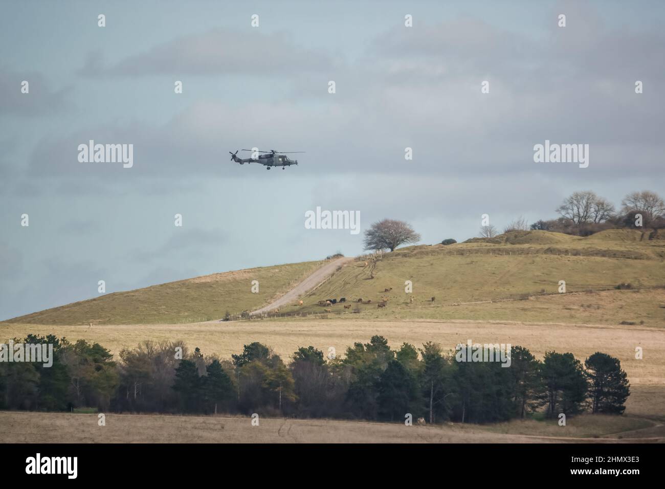 British army AgustaWestland AW159 Wildcat AH1 helicopter flying low ...