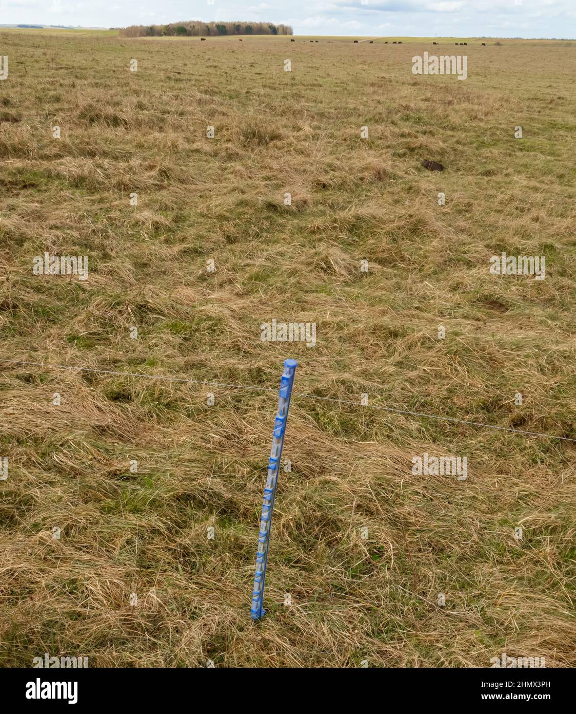 a foreboding dramatic dark grey thunder storm cloud sky over a tump and ...