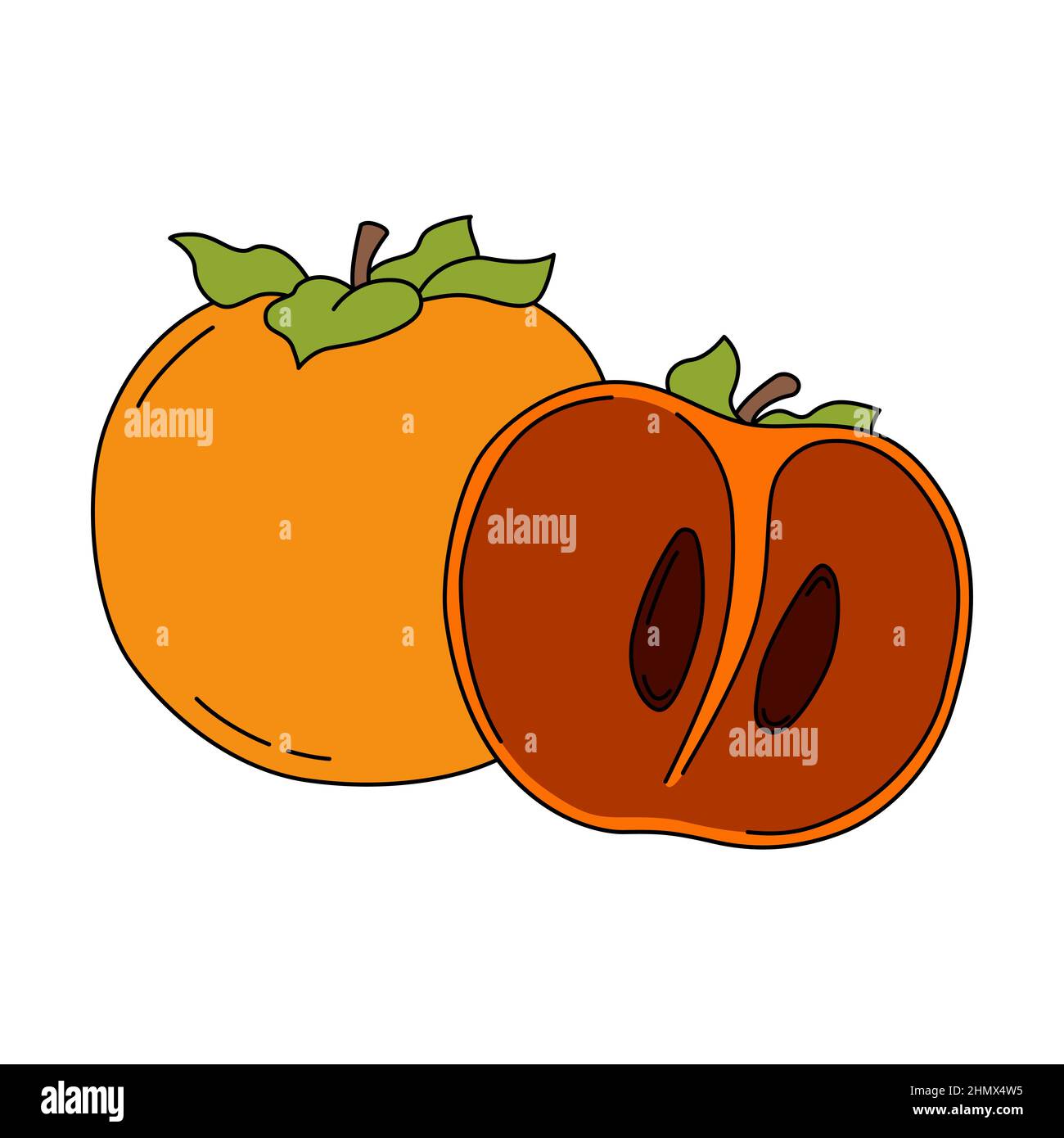 Vector illustration of a persimmon. Half of persimmon in cartoon style ...