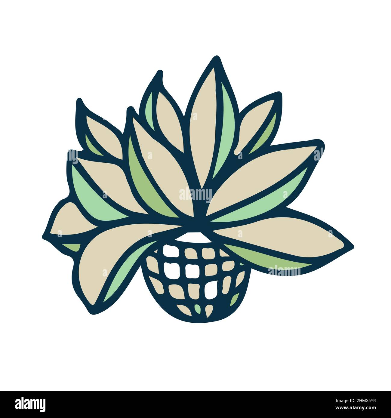 Cactus plant isolate, hand drawn colors sketching Stock Vector Image ...