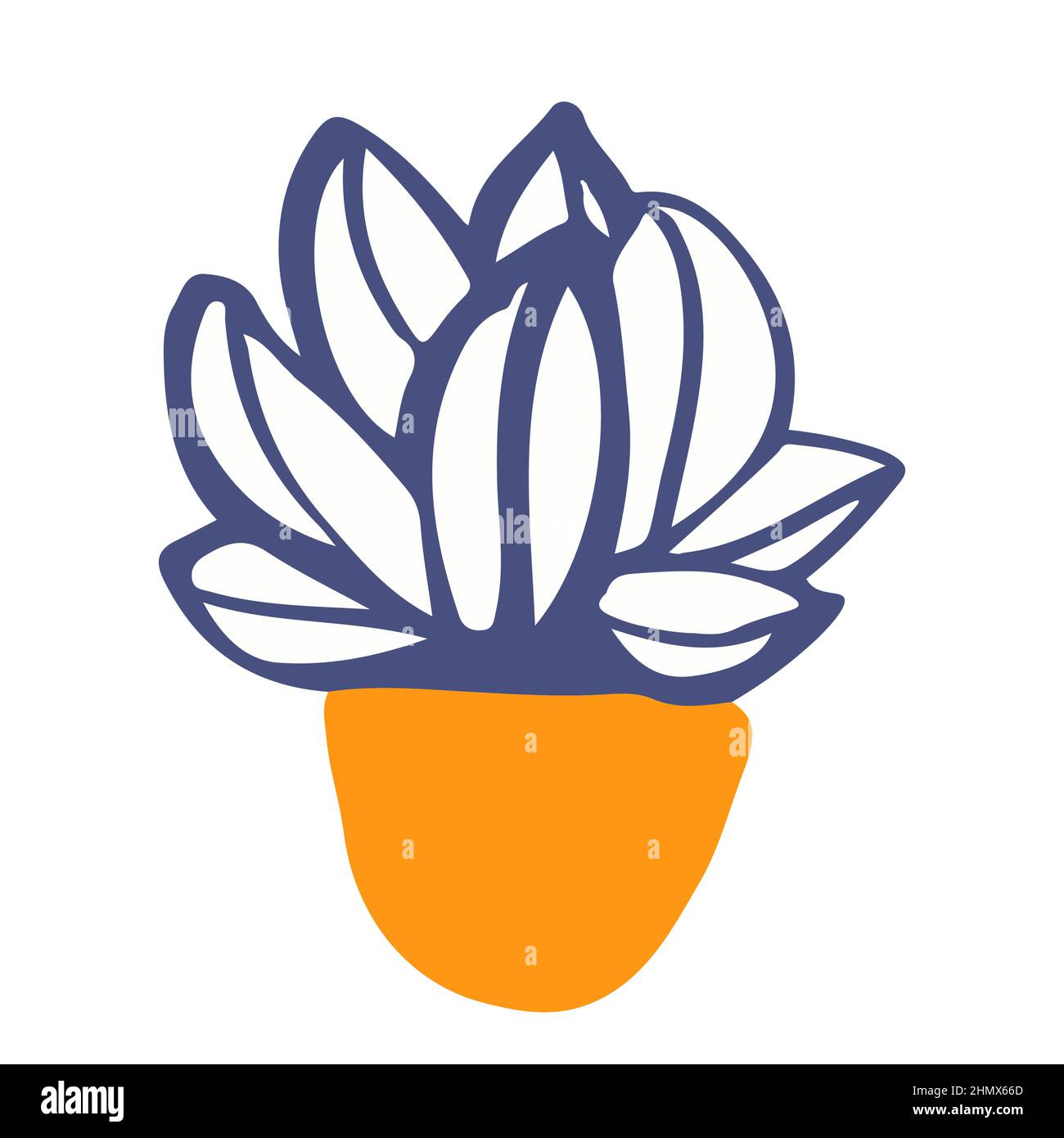 Cactus plant isolate, hand drawn colors sketching Stock Vector Image ...