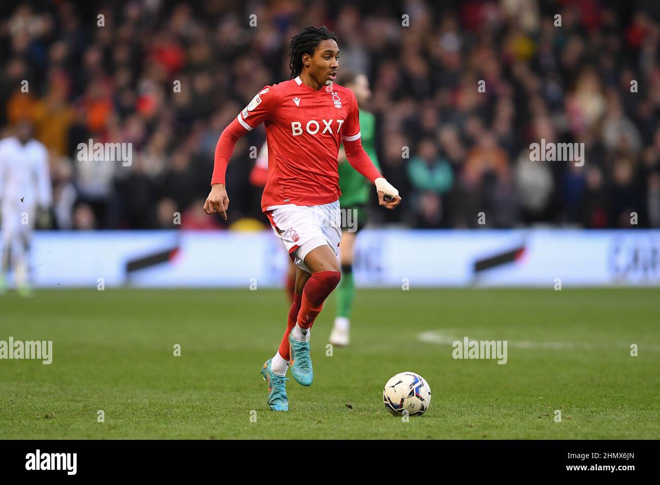 Djed spence forest hi-res stock photography and images - Alamy