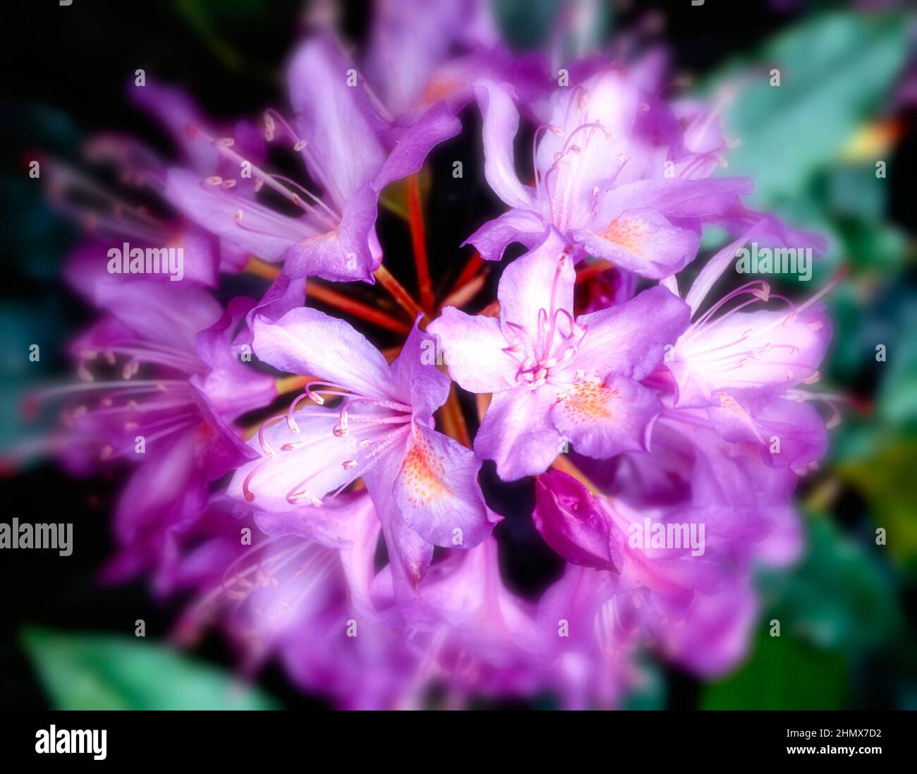 Choas, abstract patterns and textures in nature and the environment ...