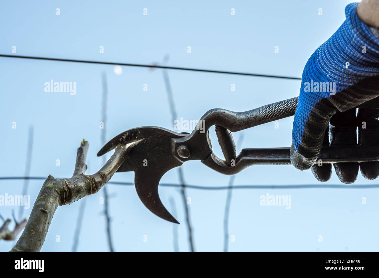 work in the field Stock Photo - Alamy