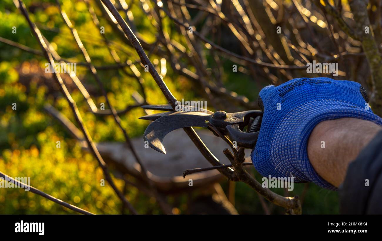 work in the field Stock Photo - Alamy