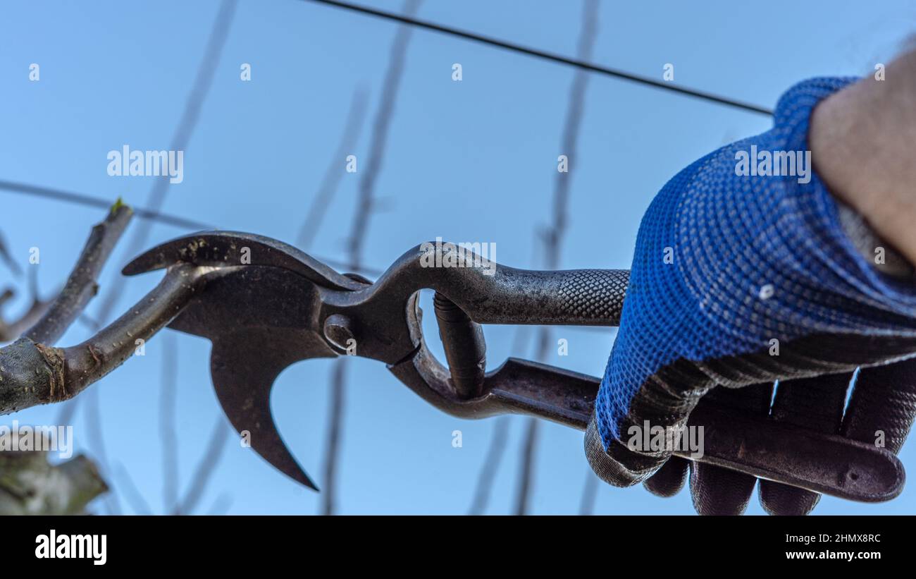 work in the field Stock Photo - Alamy