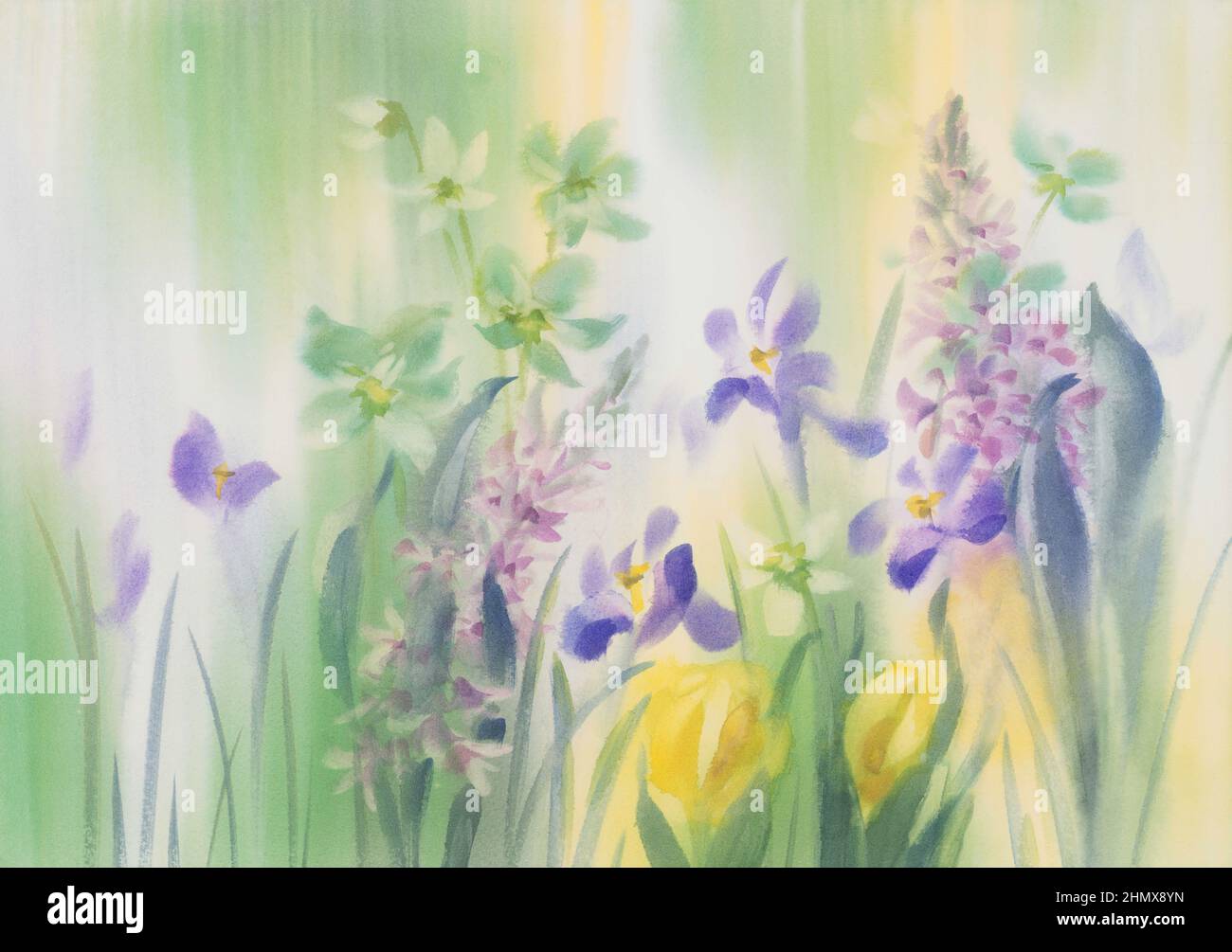 Violet and green spring flowers watercolor background Stock Photo - Alamy
