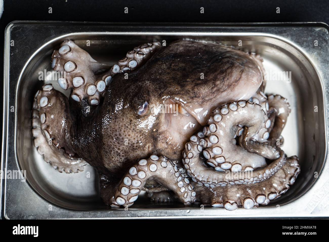 raw octopus, ready to cook a dish in an iron plate on a black ...
