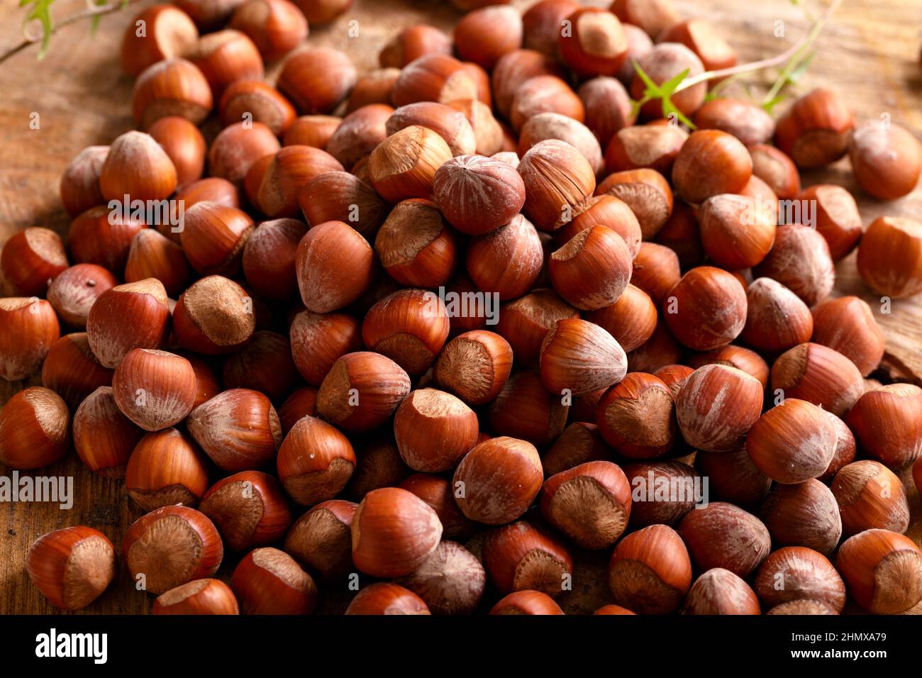 a hazelnuts nuts in shell on wooden board Stock Photo - Alamy