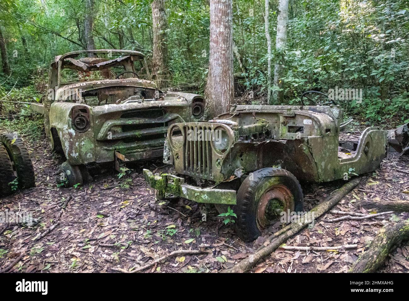 Abandoned vehicle in the jungle Tikal Guatemala Stock Photo - Alamy