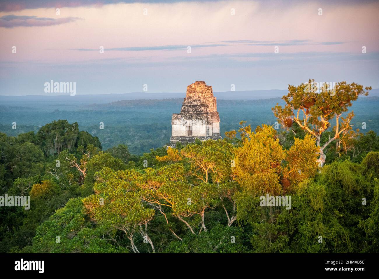 Mayan ruins Tikal Guatemala Stock Photo - Alamy