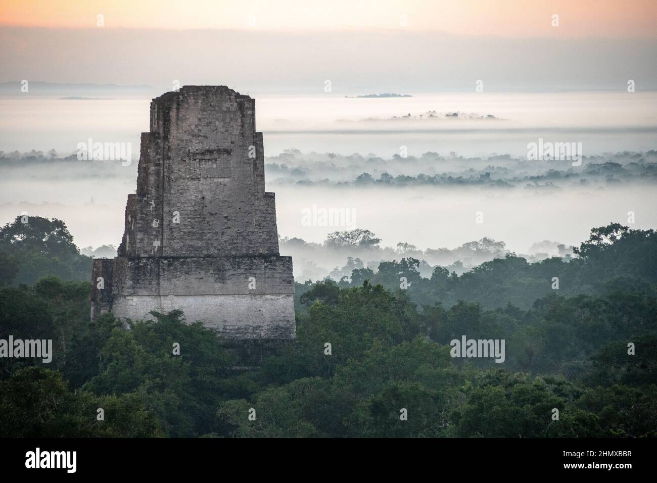 Mayan ruins Tikal Guatemala Stock Photo - Alamy