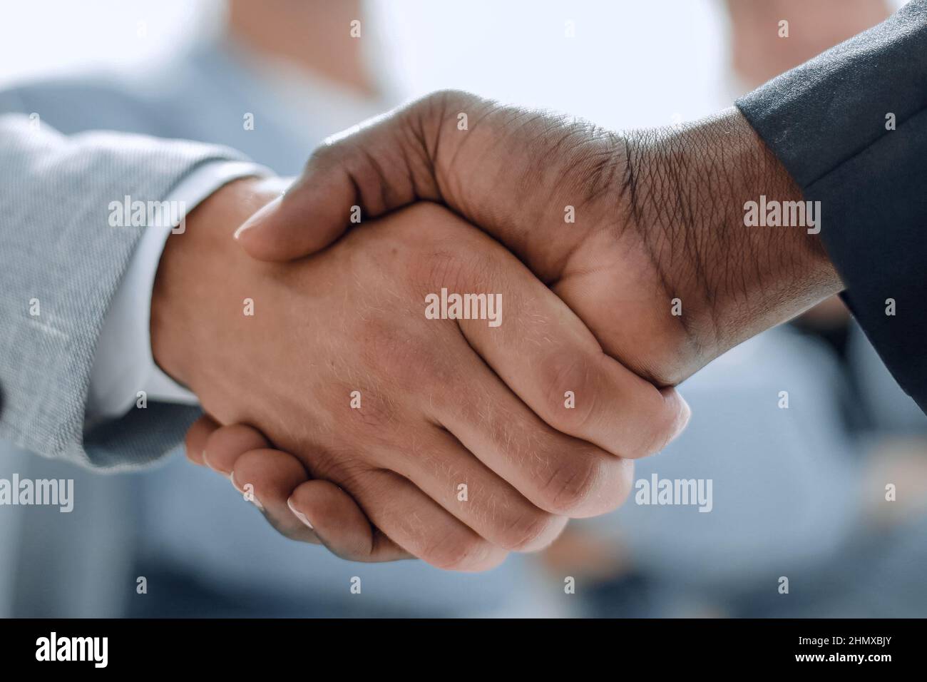 Business handshake. Two businessman shaking hands in office Stock Photo ...