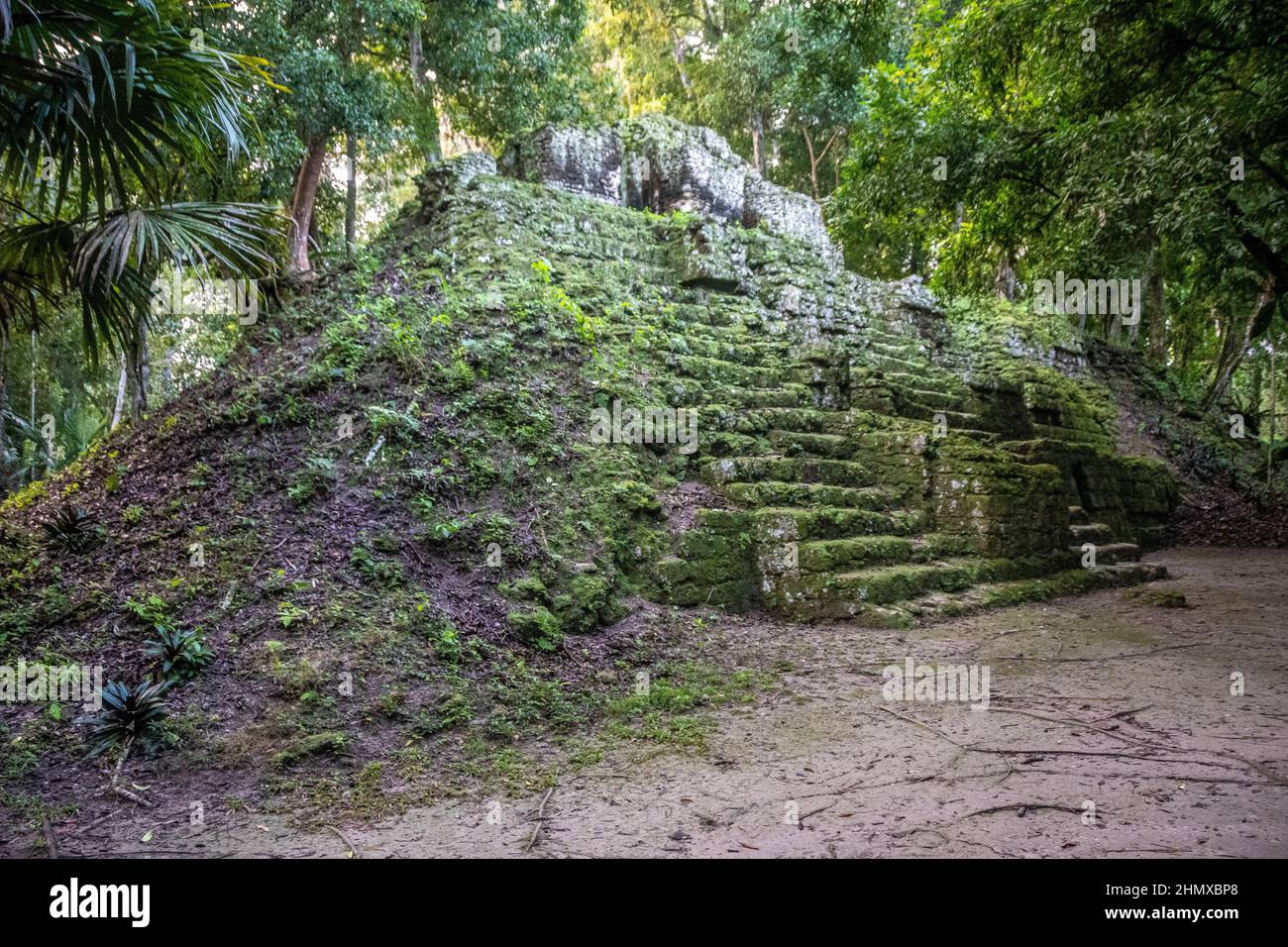 Mayan ruins Tikal Guatemala Stock Photo - Alamy