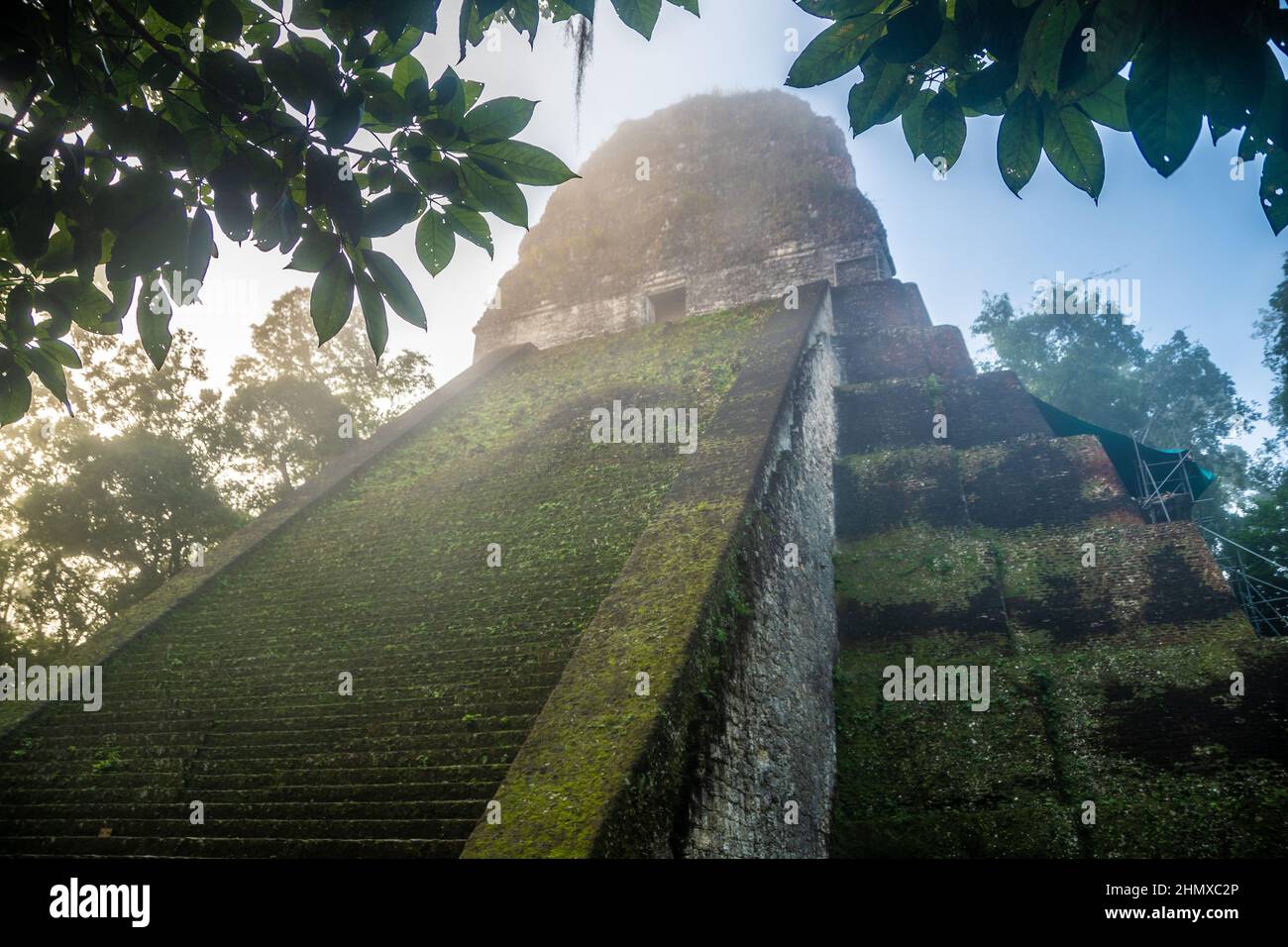 Mayan ruins Tikal Guatemala Stock Photo - Alamy