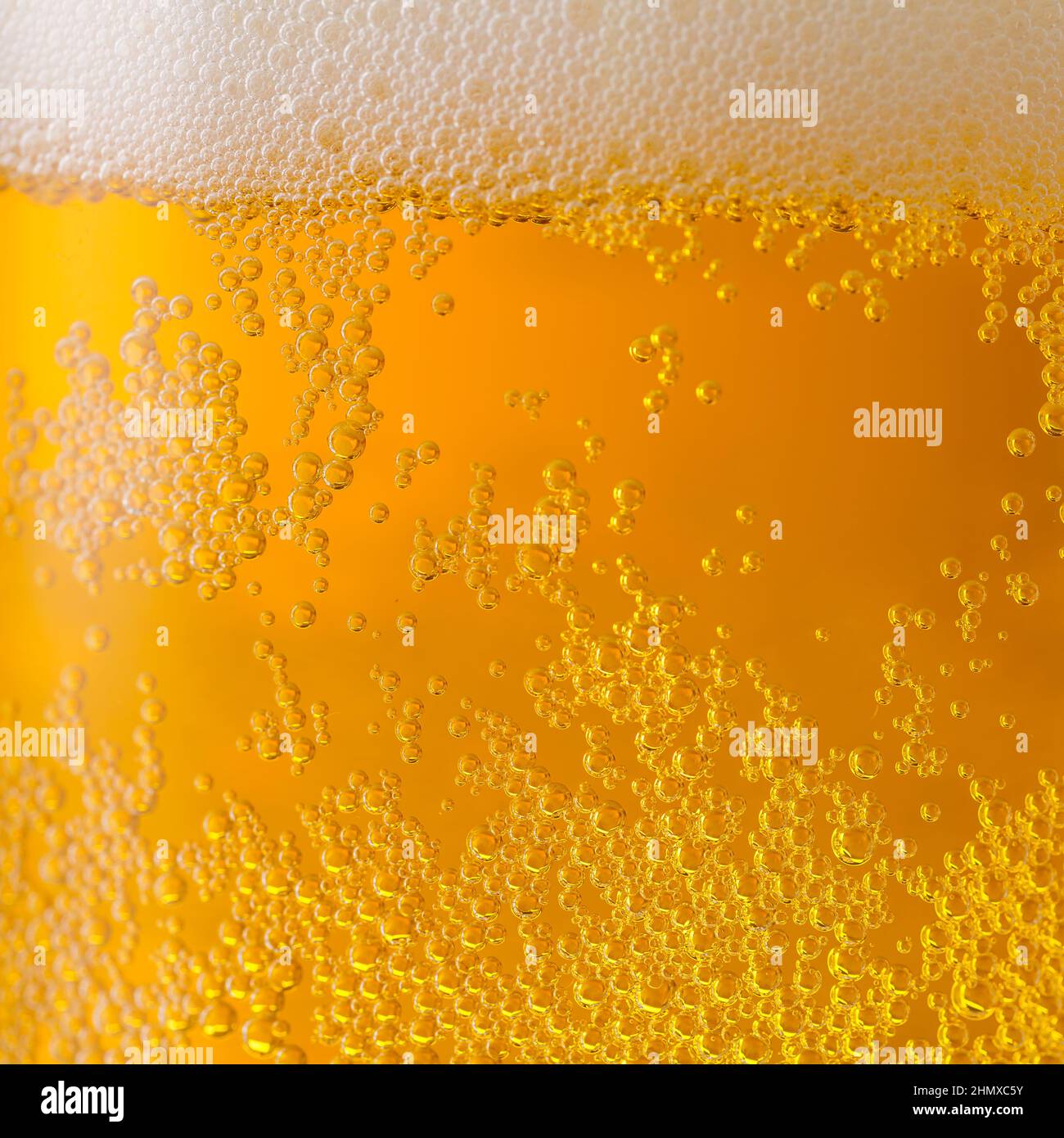 fresh golden beer Stock Photo - Alamy