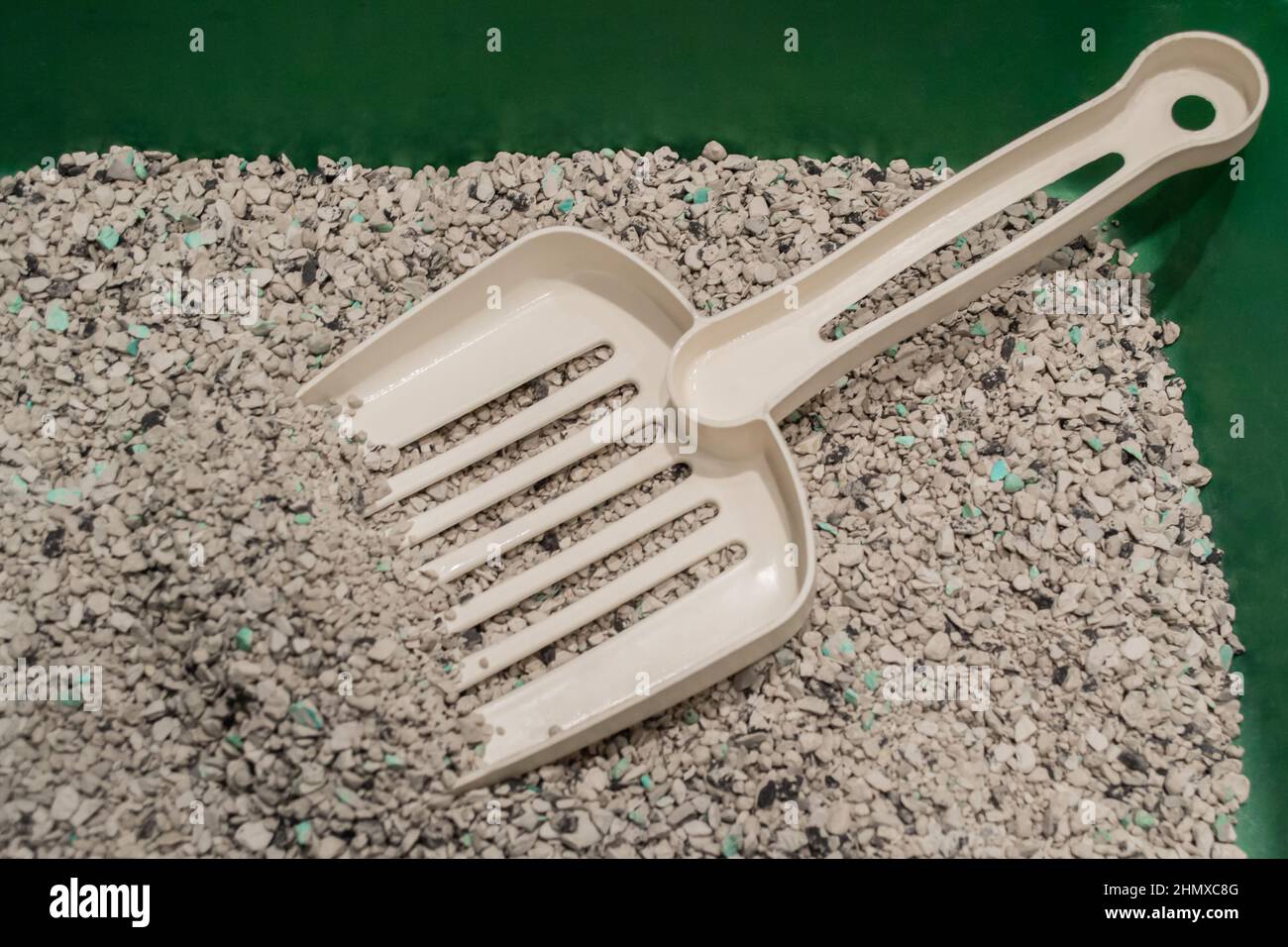 Green plastic tray with a lumpy filler for the cat toilet in the form ...