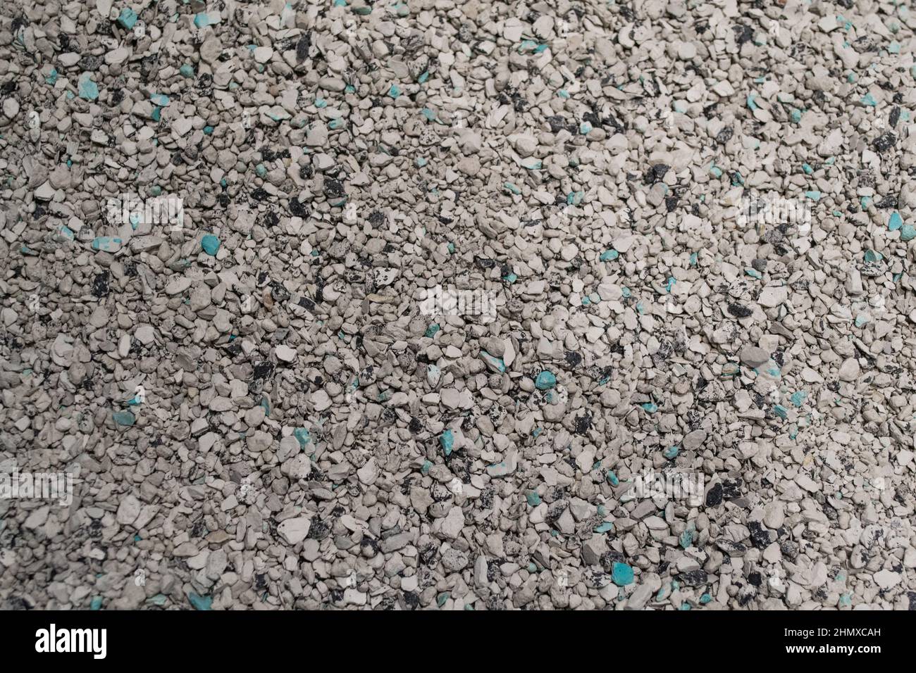 Litter box hi-res stock photography and images - Alamy