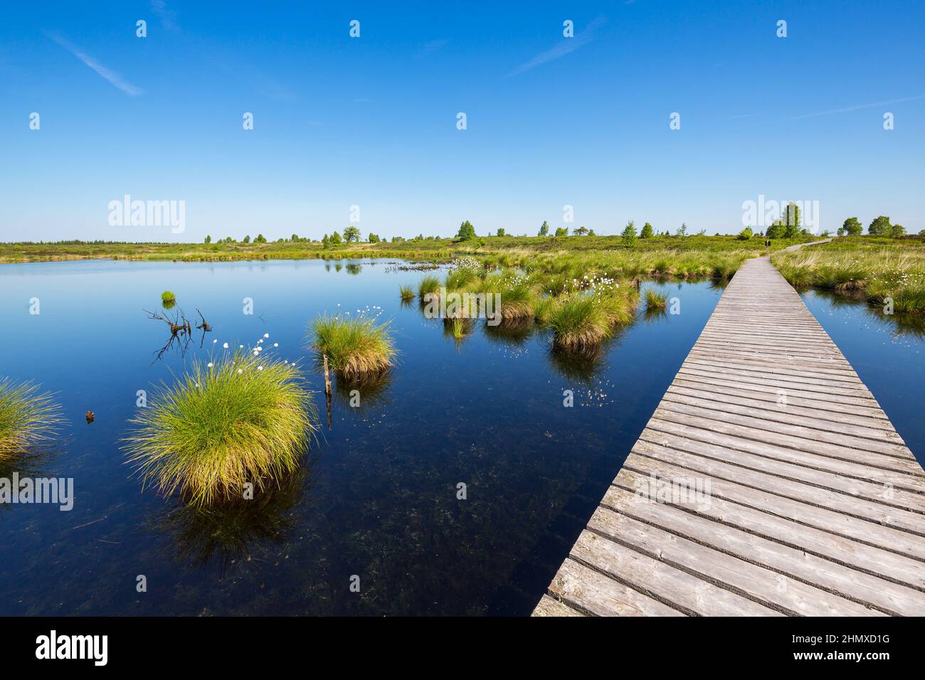 Hautes Fagnes Nature Reserve High Resolution Stock Photography and ...