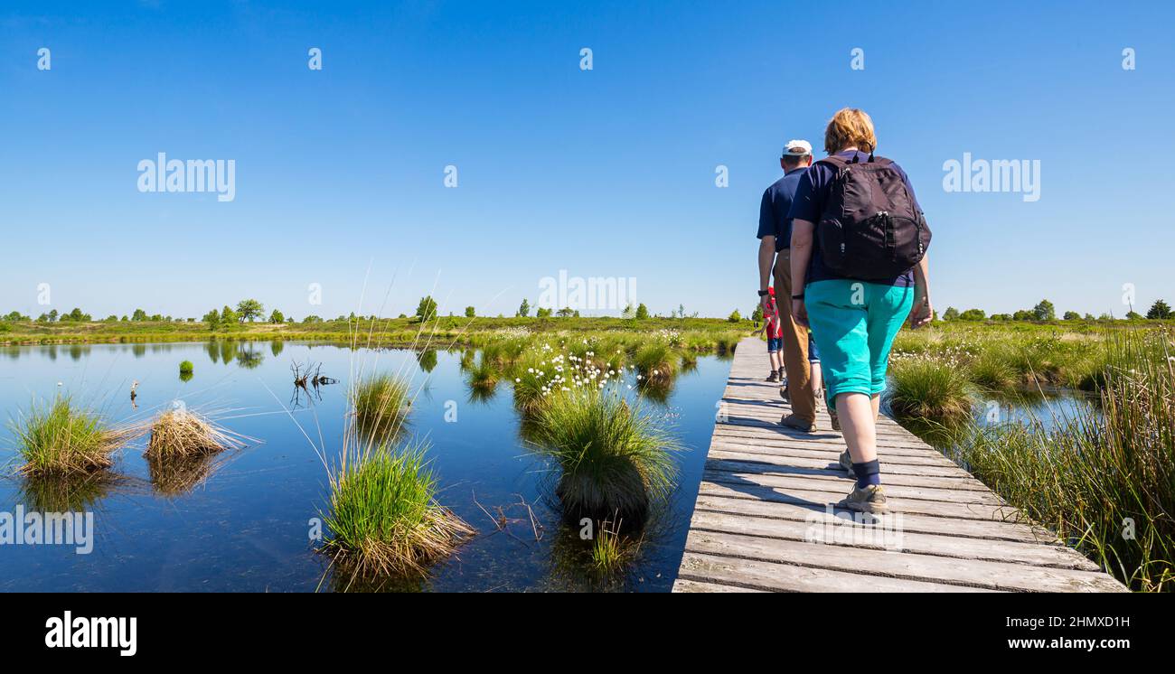 Walking tour in the High Fens (Hautes Fagnes Stock Photo - Alamy