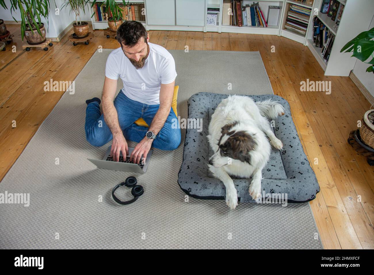 Man working on his laptop while sitting at home and playing with his ...