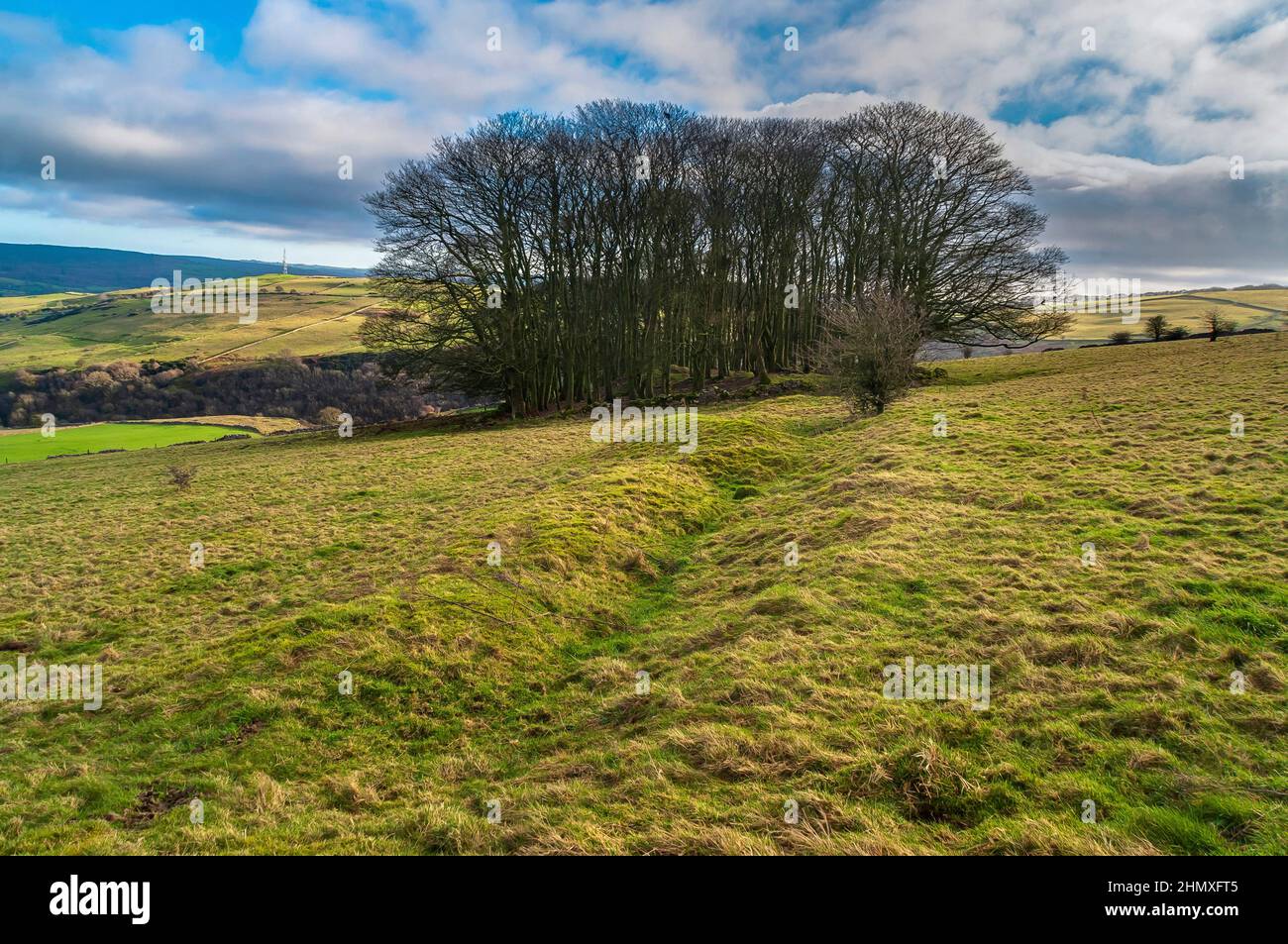In a dense copse of trees is the site of Highfields Mine, an old lead ...