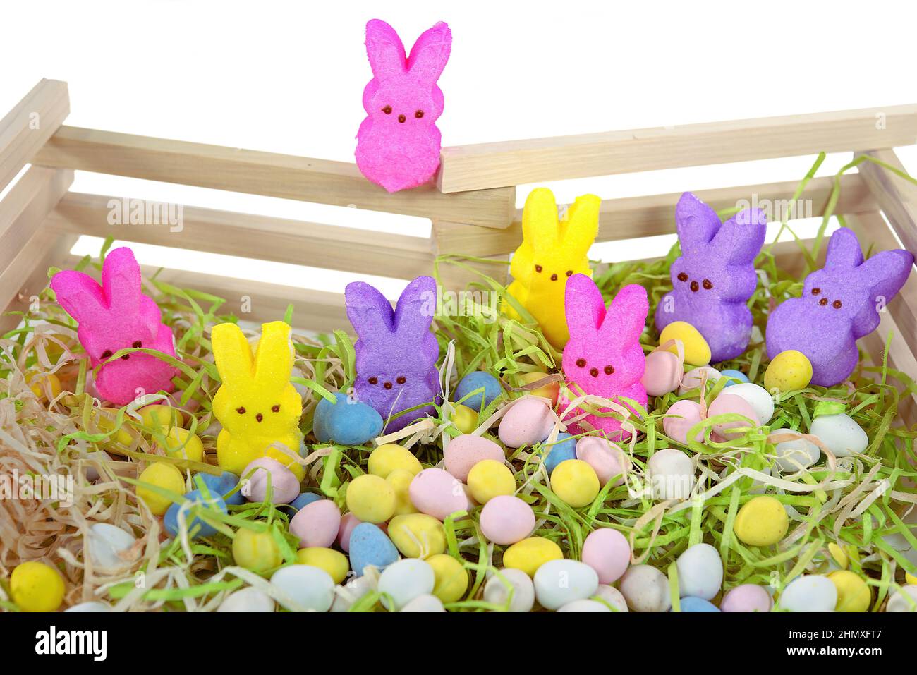 Easter bunny candy on wooden fence and grass with pastel eggs Stock ...