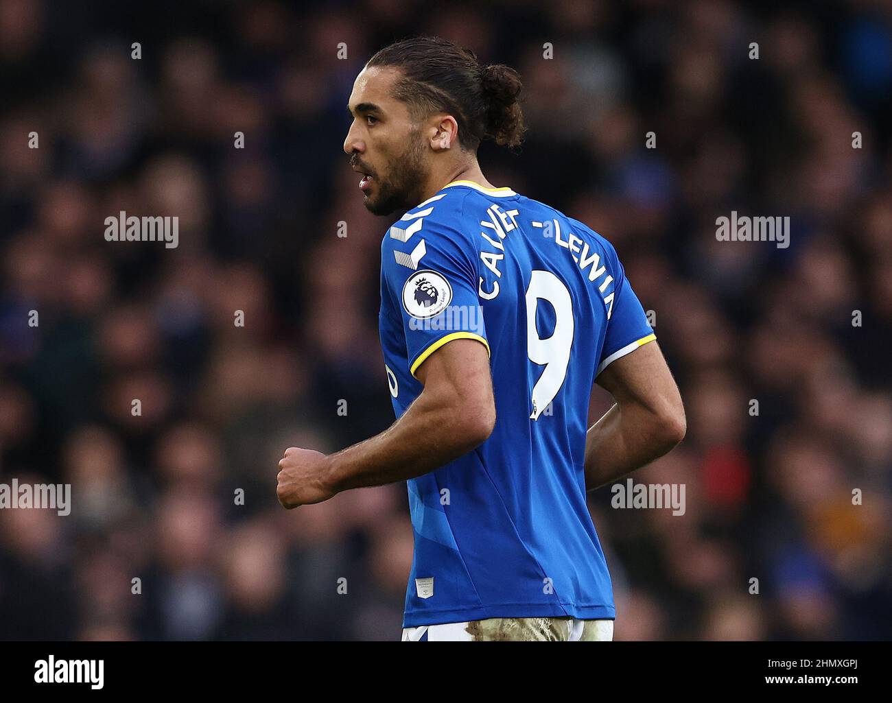 Liverpool, England, 12th February 2022. Dominic Calvert Lewin of ...