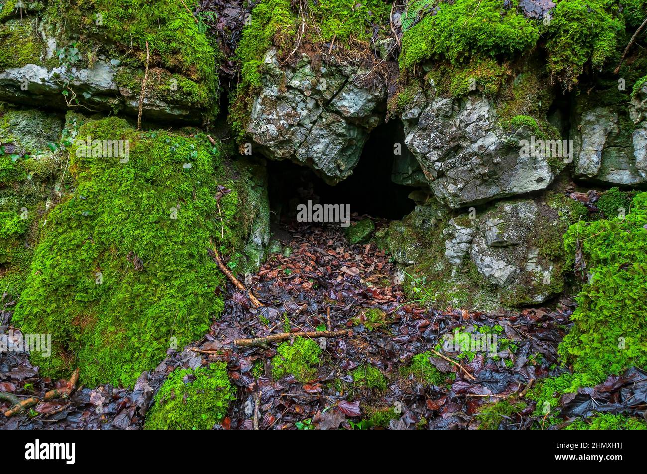 Partially overgrown cave hi-res stock photography and images - Alamy