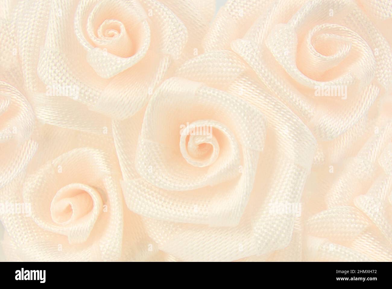 Soft roses hi-res stock photography and images - Alamy