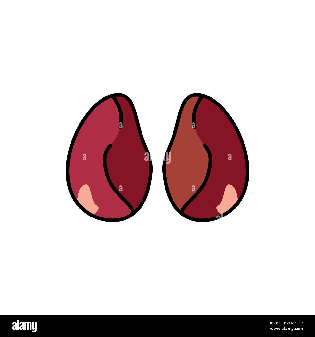 Chicken kidneys color line icon. Cutting meat. Pictogram for web page ...