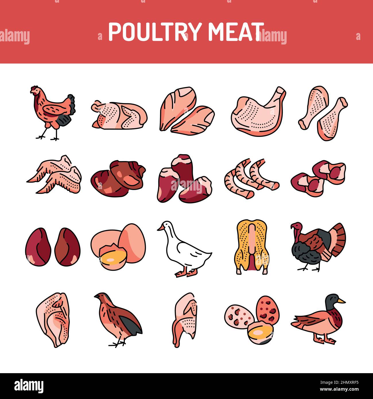 Poultry meat color line icons set. Pictograms for web page, mobile app ...