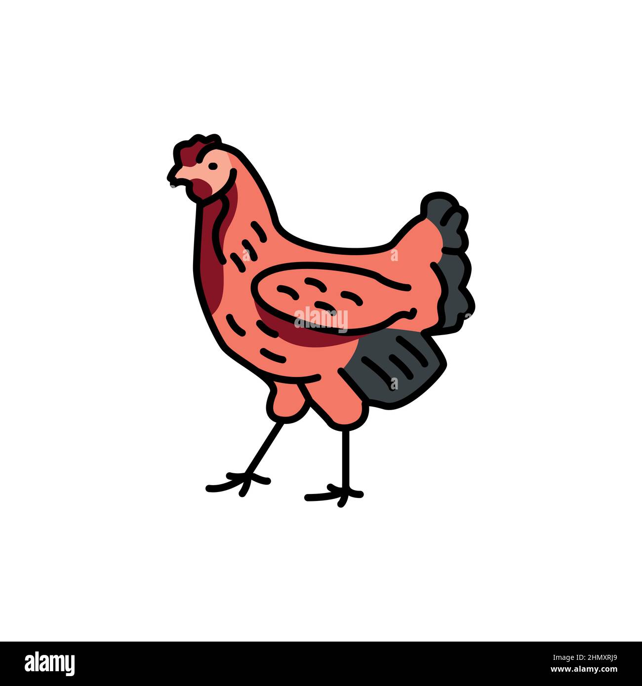 Chicken bird color line icon. Pictogram for web page, mobile app, promo ...