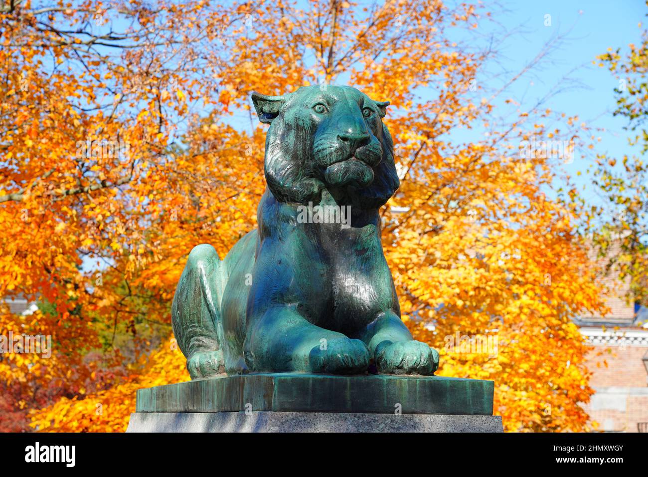PRINCETON, NJ -18 NOV 2021- View of the bronze tiger statue in Palmer ...