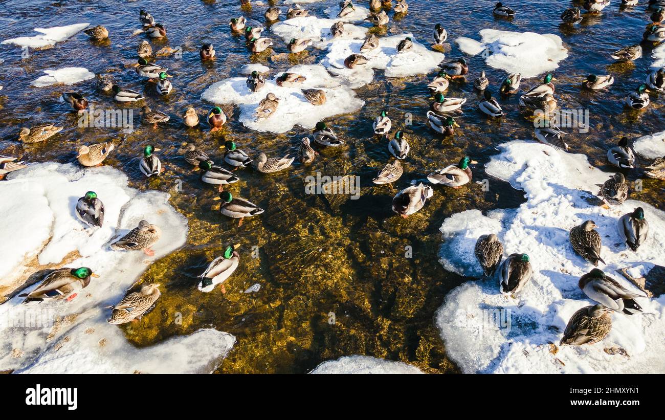 Very icy day hi-res stock photography and images - Alamy