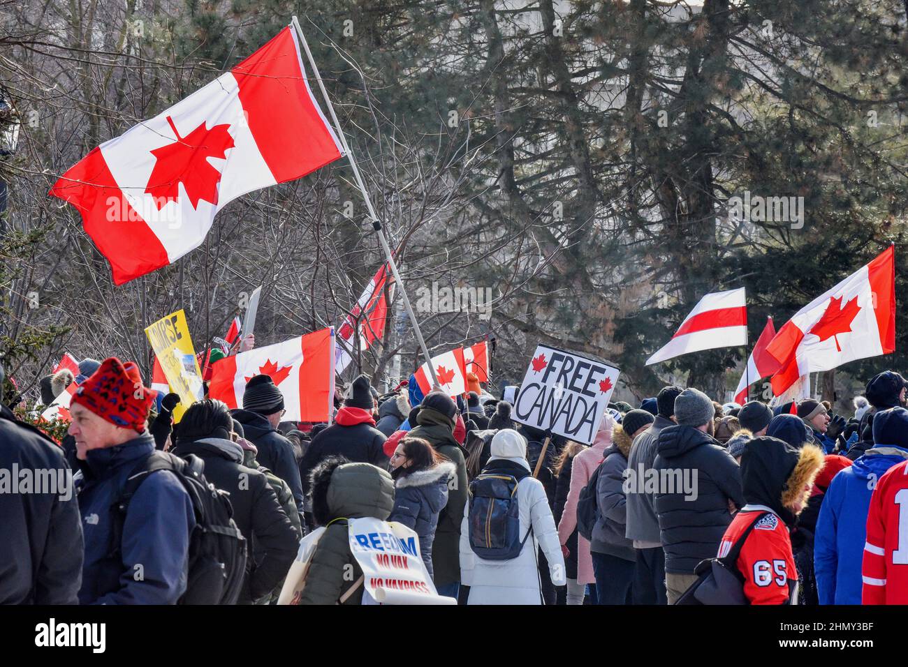 Toronto, Canada. February 12, 2022. Toronto, Canada. Anti-mandate ...