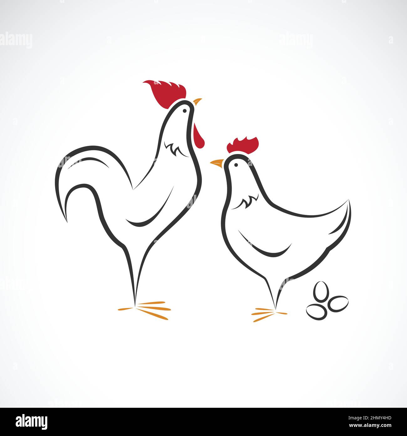 Vector of male and female chickens design on white background. Animal ...