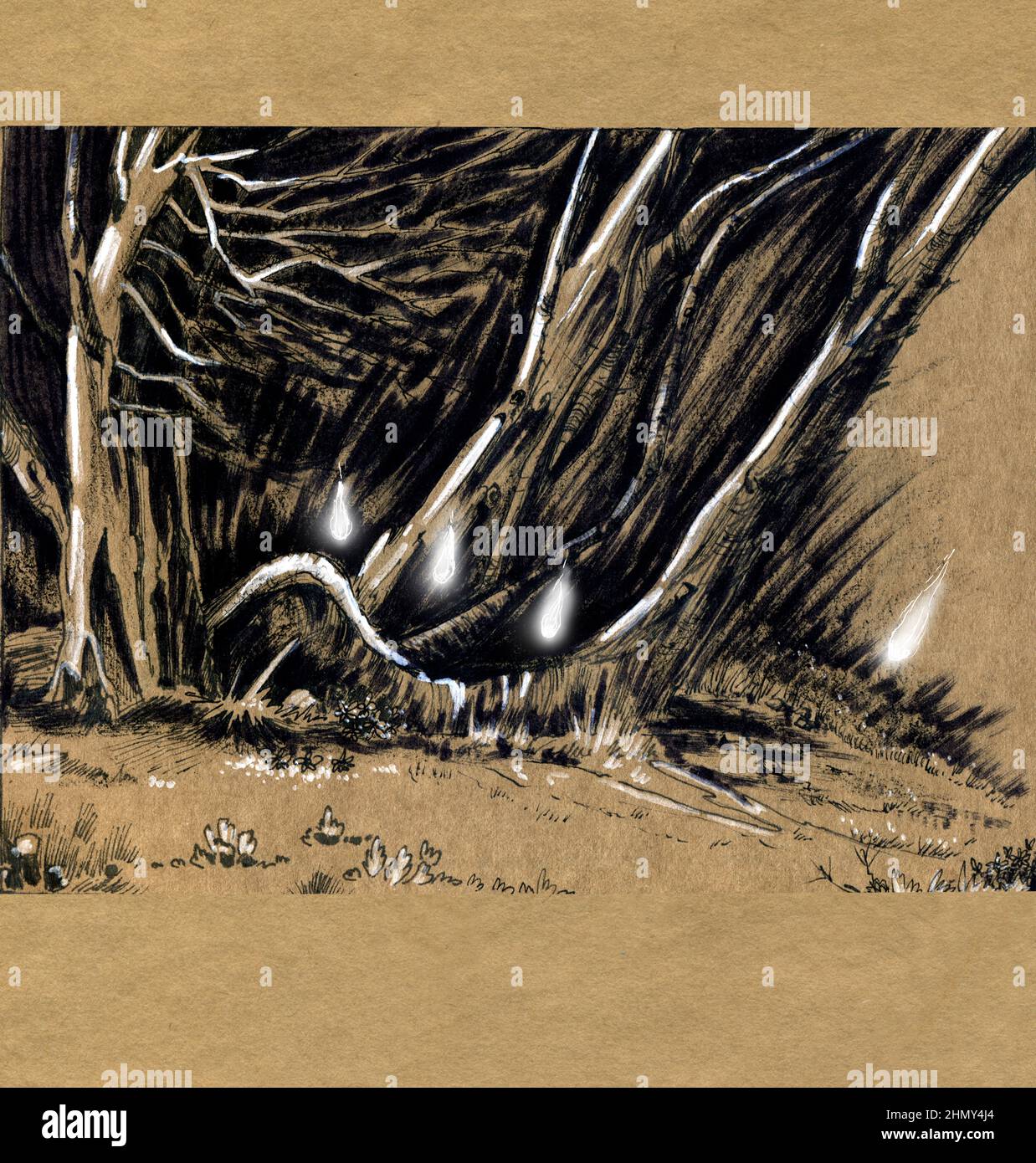 Forest with mystical wandering lights. Ink drawing of a forest ...