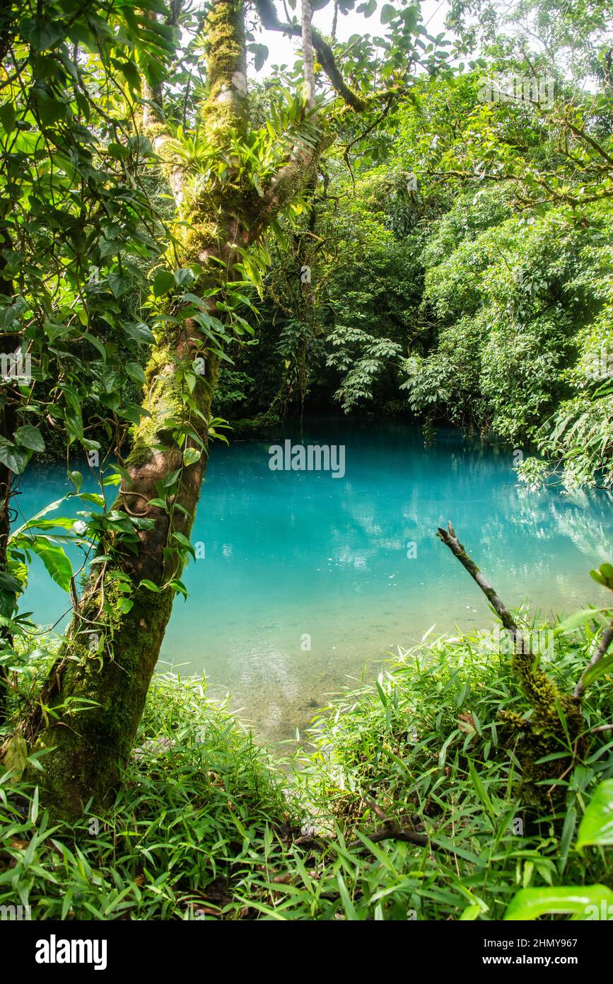 Turquoise Rio Celeste, Tenorio Volcano National Park, Guanacaste, Costa ...