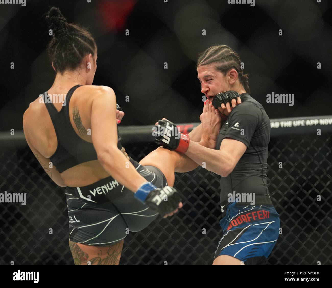 Houston, Texas, Houston, TX, USA. 12th Feb, 2022. HOUSTON, TX ...