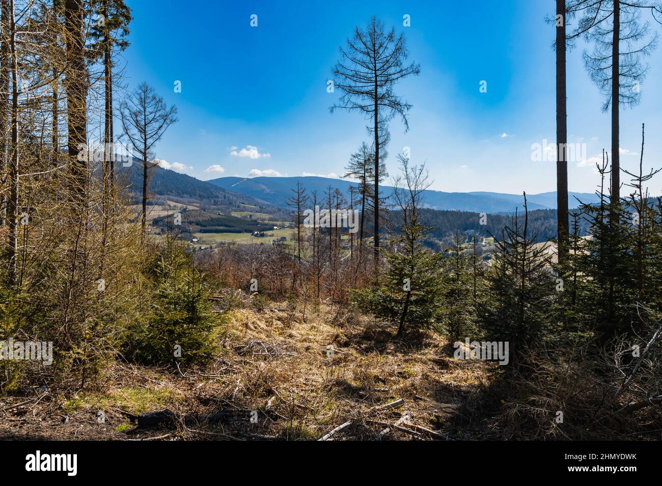 Beautiful sunny landscape of hills and mountains full of fresh grass ...