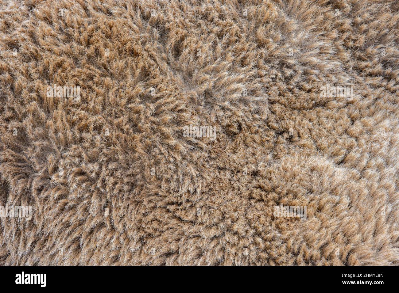 Camel pattern design. Real fur Skin texture. Animal print pattern tile ...