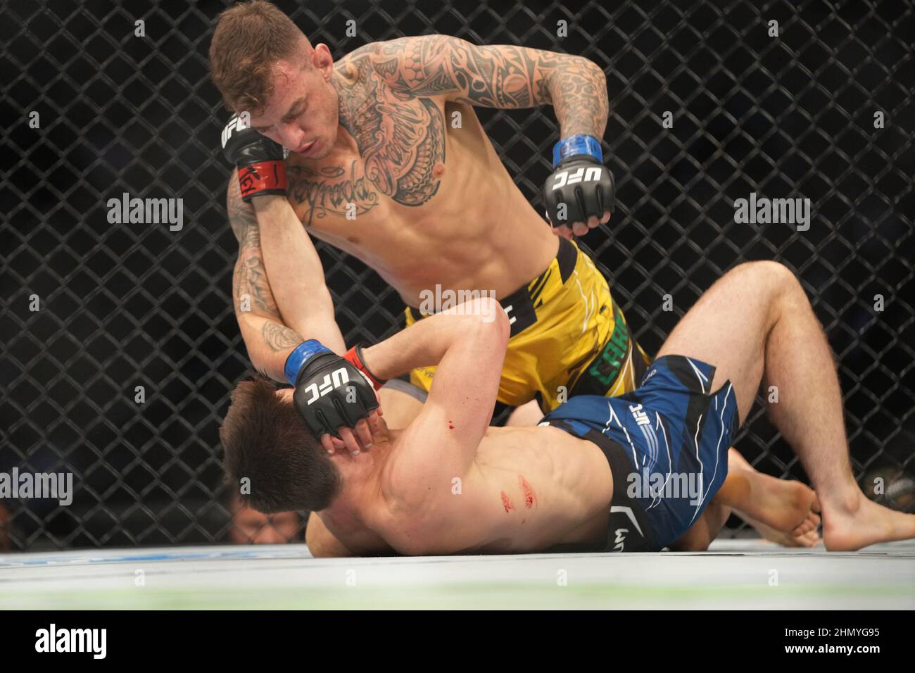 Houston alexander fight hi-res stock photography and images - Alamy
