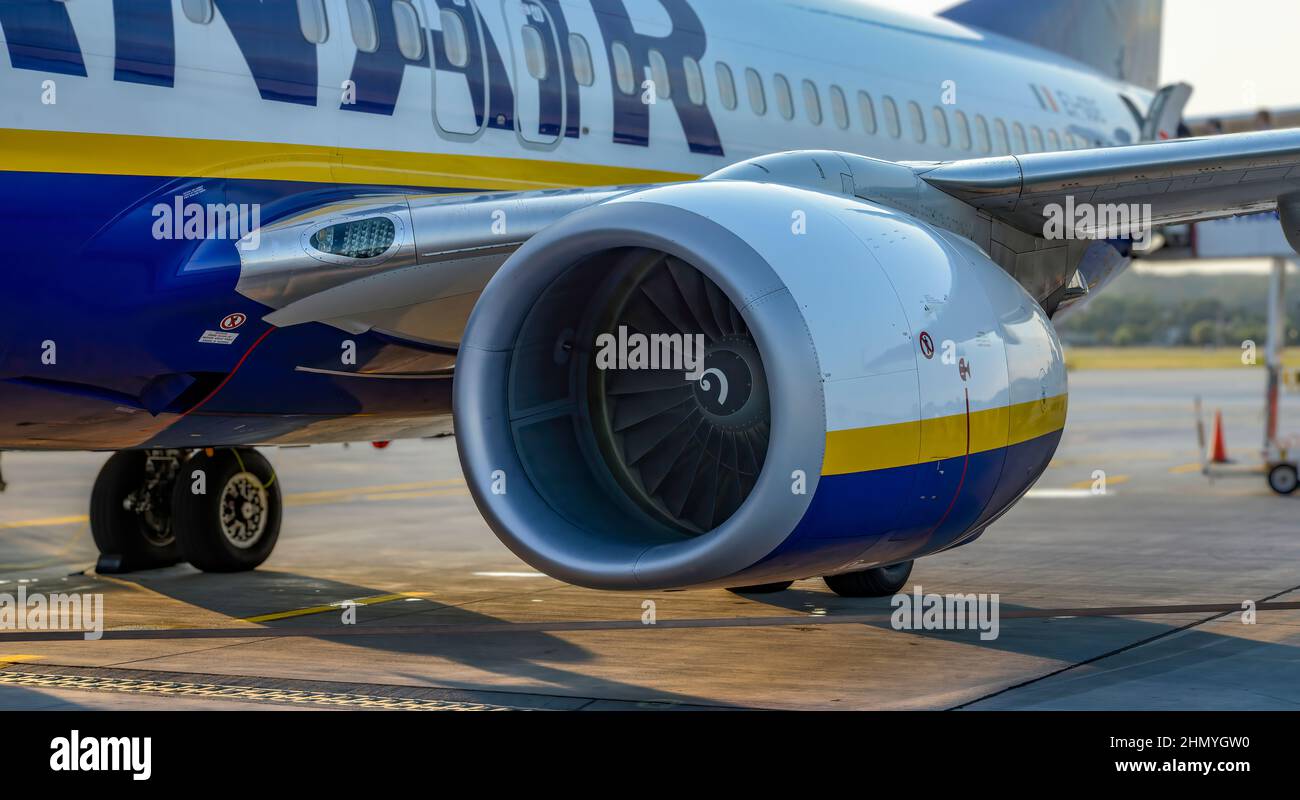 Chip fly hi-res stock photography and images - Alamy