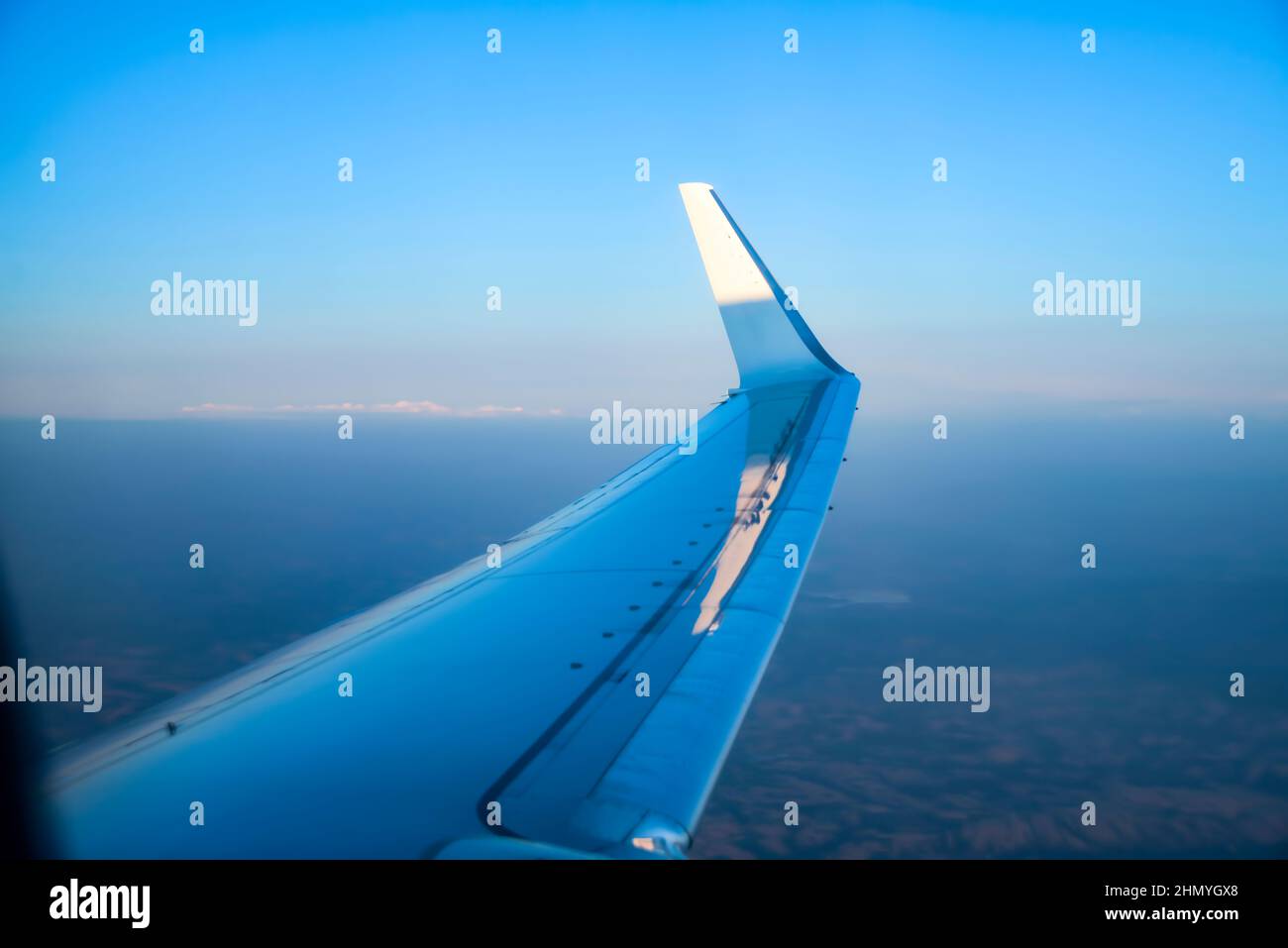 Chip fly hi-res stock photography and images - Alamy