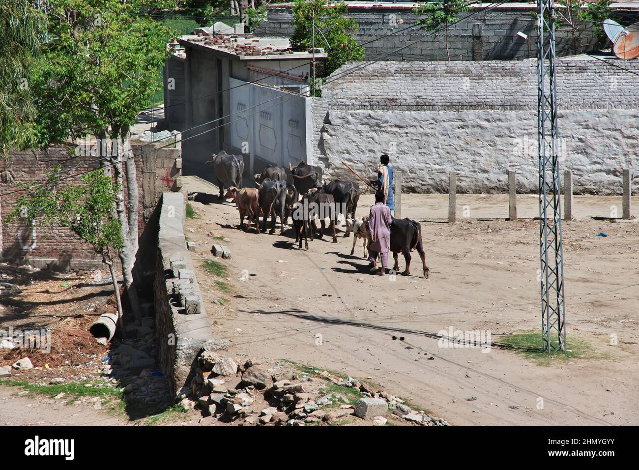 A village in Swat valley of Himalayas, Pakistan Stock Photo - Alamy